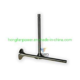China Shengdong 500kW Natural Gas Generator Intake Valve W12V190.03.01 for W12V190 Series Engines for sale