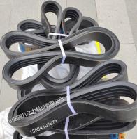 China Weichai Heavy Duty Truck Engine Multi Wedge Belt 612600062561 for Fixed Installation for sale