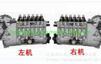 China JDEC Z12190PZL-3/0 High Pressure Oil Pump Assembly with Governor for B6190 Marine Diesel Engine for sale