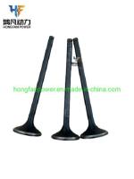 China Zichai 6170 8170 Marine Engine Inlet Exhaust Valve Set Z6170.1-44C 45 Z6170.1-5A 17 for sale