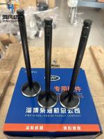 China Zichai L250 Marine Diesel Engine Intake Valve L250-03-004A Exhaust Valve L250-03-031A for sale