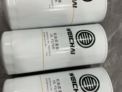 China Baudouin Diesel Generator Fuel Filter 12M55G2250 F03605051 1005629985 for sale