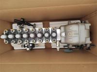 China High pressure fuel pump type P9 with speed controllertype RSUV for engine 617023000700(B610500) for sale