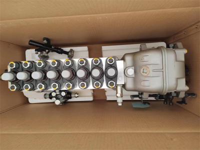 China High pressure fuel pump type P9 with speed controllertype RSUV for engine 617023000700(B610500) for sale