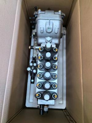 China Weichai X6170 P11 Fuel Injection Pump 1002376848 Genuine Parts for Marine Diesel Engine 1000-1500rpm for sale