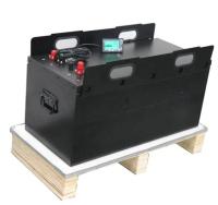 China Customized Deep Cycle Lithium Ion Battery High Power 24V 48V 300Ah LiFePO4 Forklift Battery for sale
