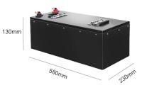 China 48V 100Ah LiFePO4 Lithium Battery 3000+ Deep Cycle With BMS Backup Power For E Tricycle Electric Car for sale