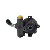 China Good Price Power Steering Pump 46764513 55189598 for FIAT DOBLO FIORINO GRAND SIENA IDEA	LINEA PALIO SIENA for sale