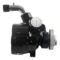China Factory Price OEM Brand Auto Power Steering Pump 2K0422154A for FOX NOVO POLO VOYAGE GOL SAVEIRO with 1 Year Warranty for sale