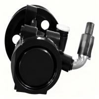 China FOCO New 2S653A696CA Power Steering Pump with 1 Year Warranty for PALIO WEEKEND PUNTO SIENA UNO for sale
