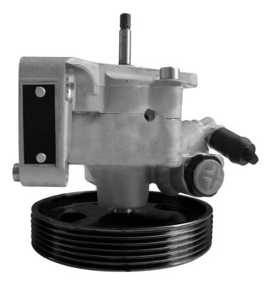 China Wholesale OEM 552293350 Hydraulic Power Steering Pump for FIAT PALIO SIENA GRAND SIENA IDEA for sale