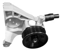 China Factory Hydraulic  Power Steering Pump 204184720 for Fiat Tracto for sale