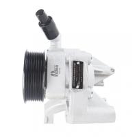 China Factory Hydraulic  Power Steering Pump 204184720 for Fiat Tracto for sale