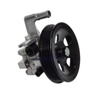 China Factory Good Quality Auto Spare Parts Car Power Steering Pump for Santa Sorento for sale