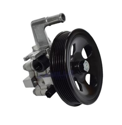 China Factory Good Quality Auto Spare Parts Car Power Steering Pump for Santa Sorento for sale