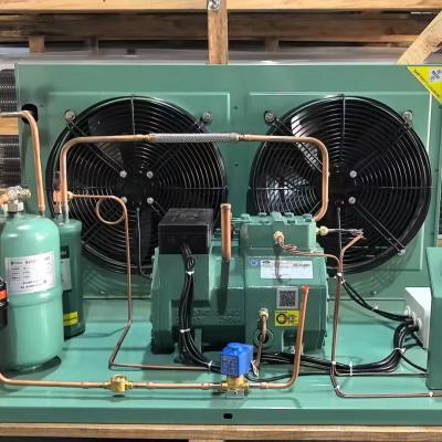 China Oem Customizable Copper Tube Condenser Evaporator Air Cooled Refrigeration Parts Spare Condensing Unit Motor 2-50HP 1 Year for sale