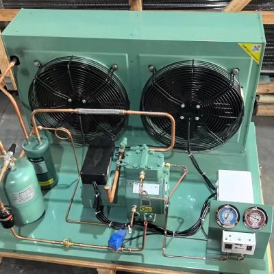 China High Quality High Performance Air Cooled R404a Heat Exchanger Condensing Unit Motor Core Components for Industrial Refrigeration for sale