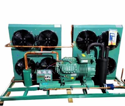 China Custom Semi-Hermetic Air Cooled R404a 10HP Motor Refrigeration Compressor Condensing Unit for Automatic Freezer Cold Storage for sale