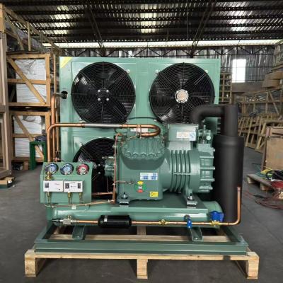 China New High Performance Energy-Saving 10HP Air Cooled Condensing Units Semi-Hermetic Compressor R404a Refrigerant for Cold Storage for sale