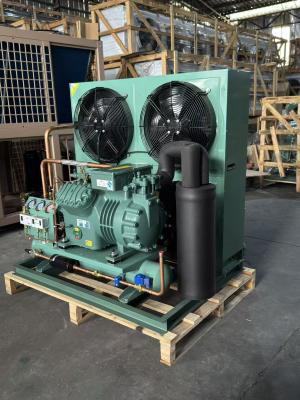 China Custom Refrigeration 30HP Low Temperature Air Cooled Condensing Unit with Semi-Hermetic Compressor Motor for Cold Storage Rooms for sale