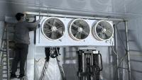 China Diameter 200~1000 Metal Fan Blades with Motor Grille for Air Cooler Condensers 1kg Zhejiang Origin 1 Year Warranty for sale