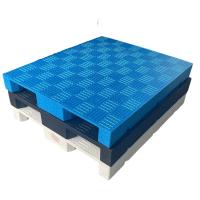 China Heavy Duty Plastic Pallet Freezer Spacer EPP Foam Pallet 2 Way Entry for sale