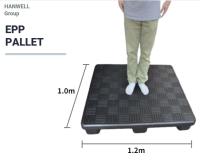 China Moisture Proof Single Faced EPP Pallet Recyclable 1200*1000*150mm Euro Plastic Pallet for sale