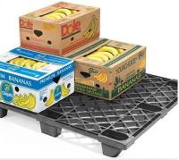 China Food Industry Chemical Pallet Anti-Slip Strip Recyclable EPP Foam Pallet for sale