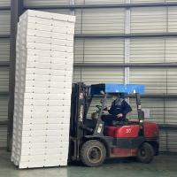 China European Standard EPP Foam Plastic Pallet Stackable Non Toxic for sale