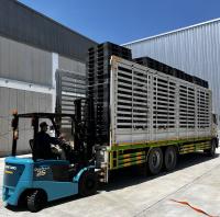 China Hygienic EPP Logistic Shipping Plastic Pallets High Tenacity for sale