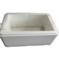 China Electronic Products EPP Packaging EPP Foam Molding Moisture Proof for sale