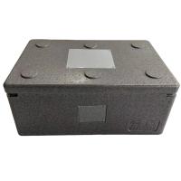 China OEM ODM Eco Friendly Recyclable EPP Box EPP Cooler Thermal Insulation for sale