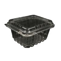 China 125g Blueberry Clamshell Plastic Packaging Boxes Impact Resistance for sale