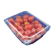 China PET Recyclable Clamshell Packaging Box Plastic ISO9001 for sale