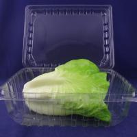 China OEM/ODM Clamshell Package Plastic Packaging Boxes Food Grade for sale