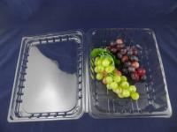 China OEM/ODM Clamshell Package Plastic Packaging Boxes Food Grade for sale