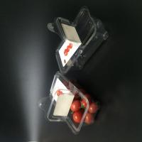China Eco Friendly Disposable PET Fruit Plastic Packaging Boxes OEM for sale
