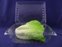 China Food Grade Plastic Packaging Boxes Solution Disposable for sale