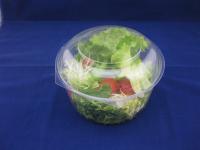 China Salad Clamshell Packaging Plastic Food Storage Container 17oz for sale