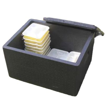 China Flame Retardant EPP Box Thermal Insulated For Transportation for sale