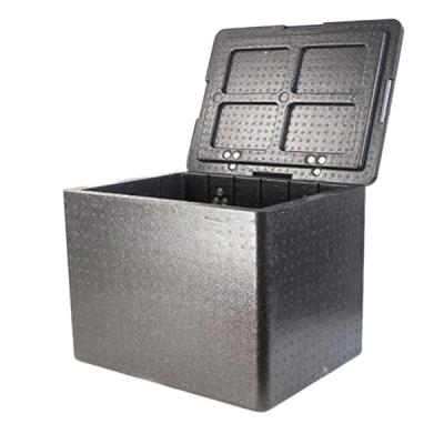 China OEM ODM Eco Friendly Recyclable EPP Box EPP Cooler Thermal Insulation for sale