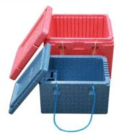 China Hanwell Shock Absorbent Insulated EPP Foam Box Lightweight for sale