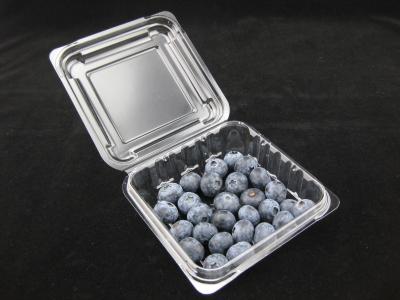 China 125g Blueberry Clamshell Plastic Packaging Boxes Impact Resistance for sale
