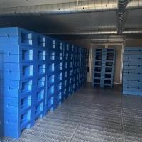 China Light weight durable food safety EPP pallet suitable for food, medical and electronics industries for sale