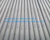 China ASTM A249 Seamless Boiler Tube SUS304 SUS316 Stainless for sale