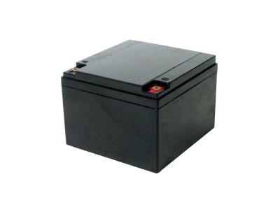 China AGM 12V 24Ah VRLA Sealed Lead Acid Battery - 10 Year Design Life, 300A Max Discharge for sale