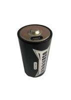 China High Capacity 5650mWh Micro-USB Rechargeable Lithium Battery D Size with 800 Cycle Life for sale