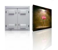 China P10 Outdoor LED Display Screen 32x16mm 3840Hz Energy Saving Full Color 320x160mm Module for sale