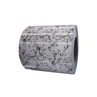 China HDGL HDGI PPGI Steel Coil 0.5mm 0.8mm Color Prepainted Galvanized Steel Coil for sale