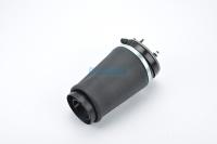 China Range Rover L322 2006-2012 Front Right Air Suspension Spring - 504001B Replacement for OEM RNB000740 for sale